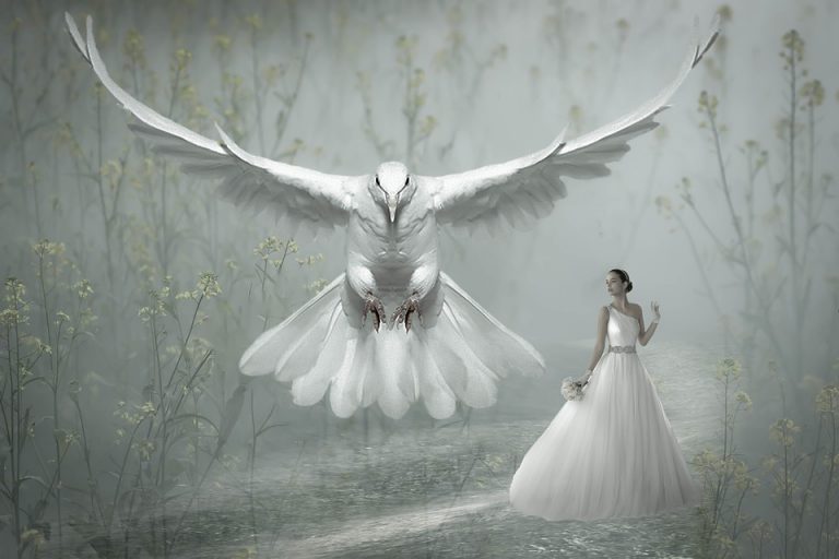 Bible Verses About Holy Spirit - Bibleandprayers.com