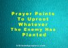 40 Prayers To Uproot Whatever The Enemy Has Planted - Bibleandprayers