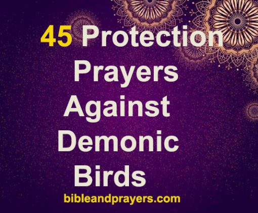 45 Protection Prayers Against Demonic Birds -Bibleandprayers.com