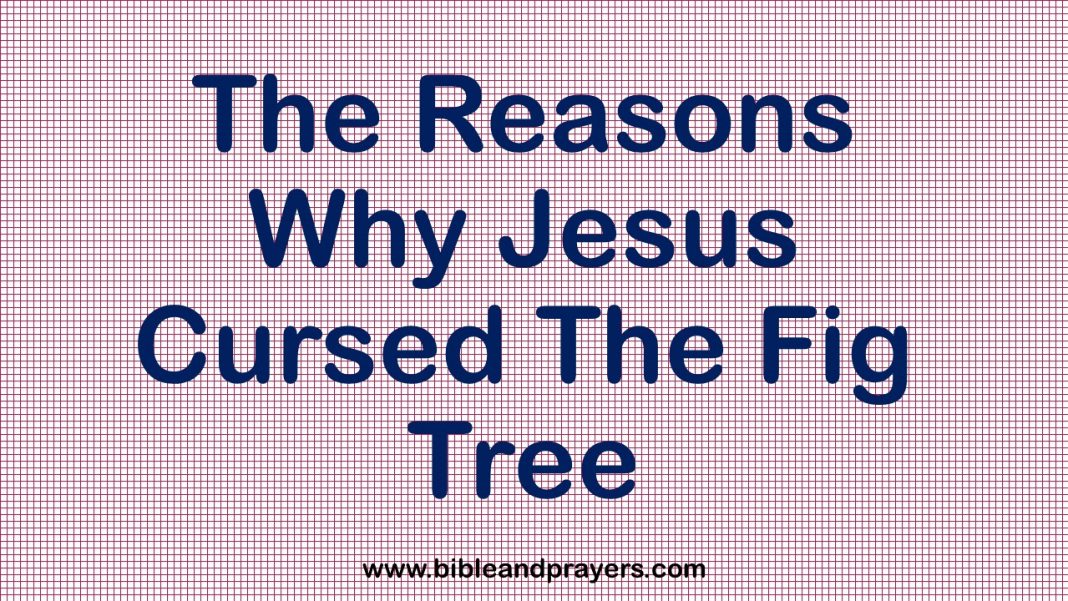 The Reasons Why Jesus Cursed The Fig Tree-Bibleandprayers.com