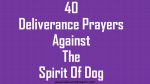 40 Deliverance Prayers Against The Spirit Of Dogs- Bibleandprayers.com