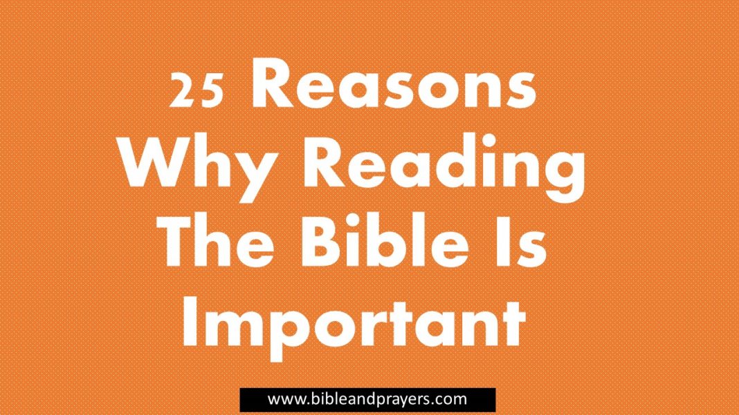 25 Reasons Why Reading The Bible Is Important- Bibleandprayers.com